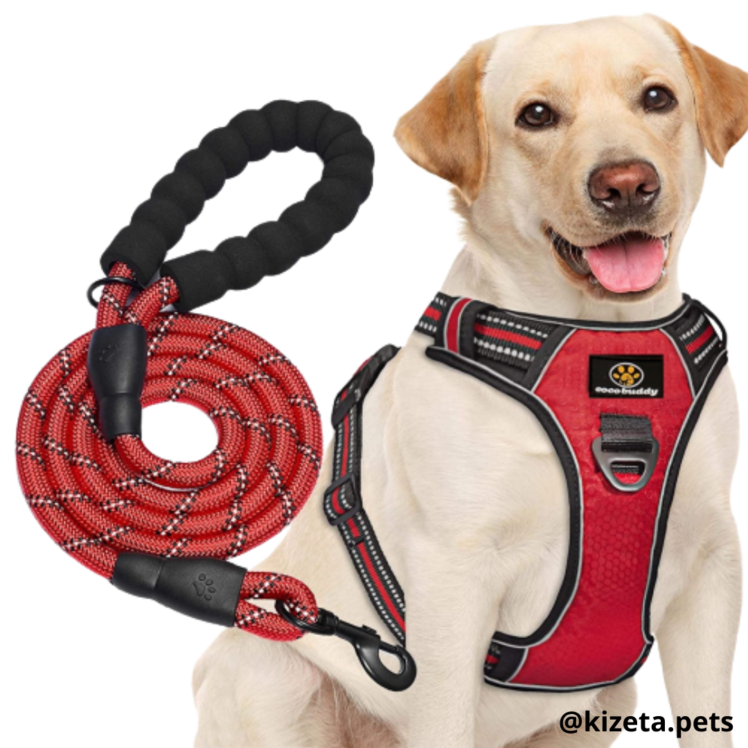 PECHERAS/ARNESES PARA PERROS